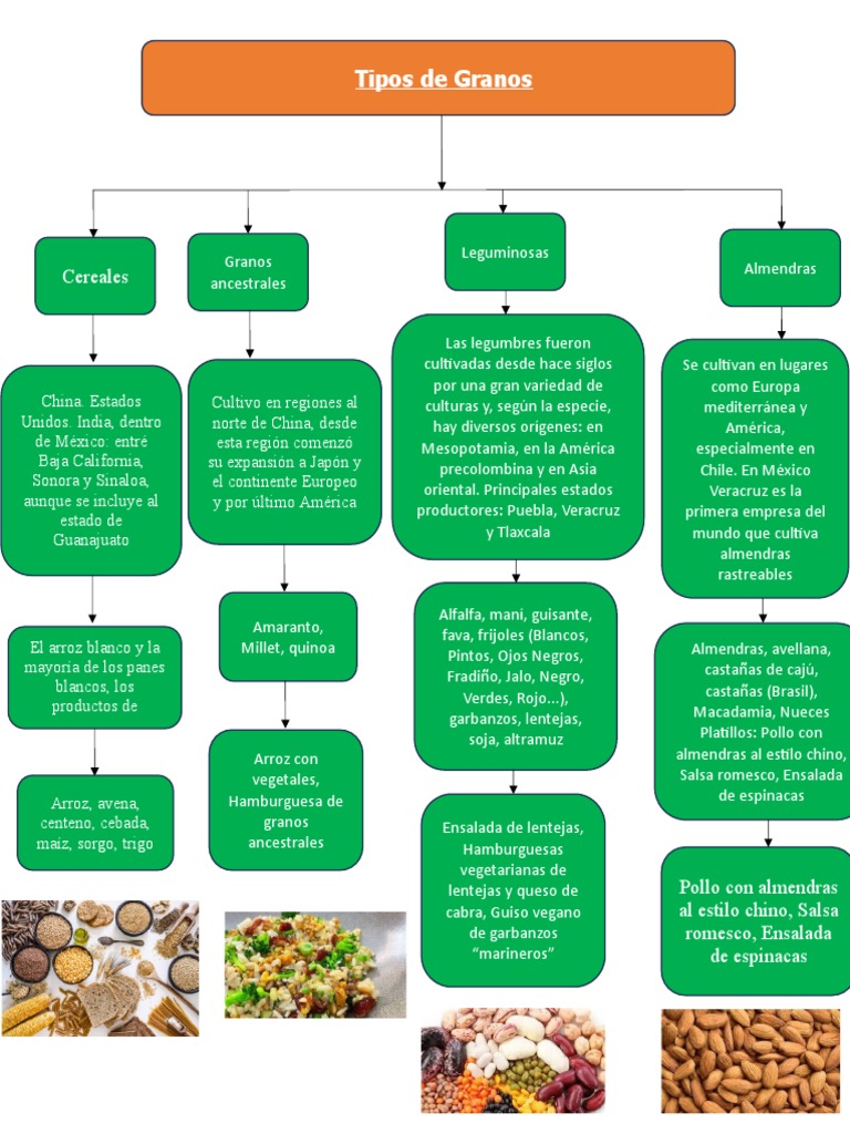 Tipos de Granos | PDF | Cereales | Agricultura