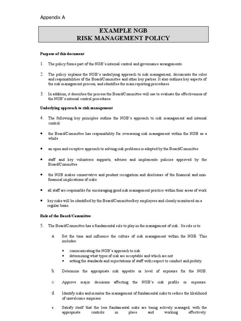Example NGB Risk Management Policy: Appendix A | PDF | Internal Control ...