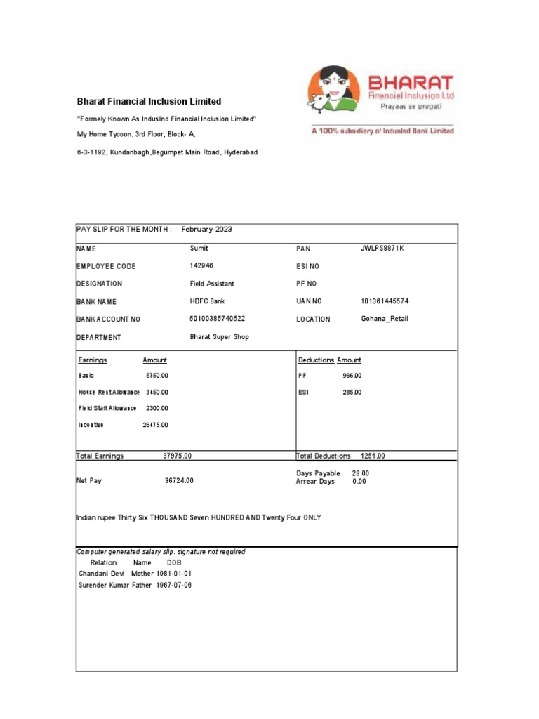 Bharat Financial Inclusion Salary Slip | PDF