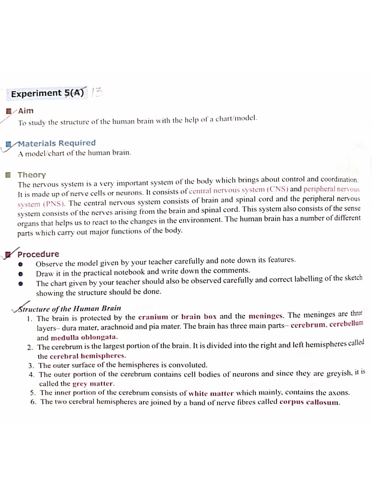 Biology Practical (1) 3 | PDF