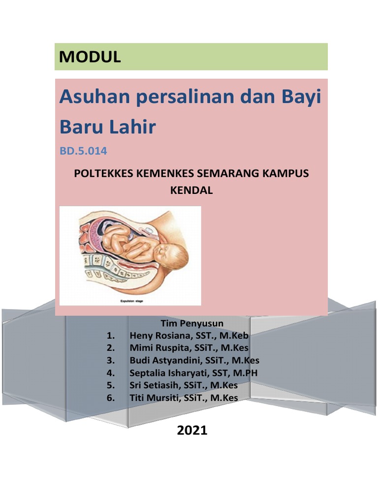 Askeb Persalinan Dan BBL | PDF