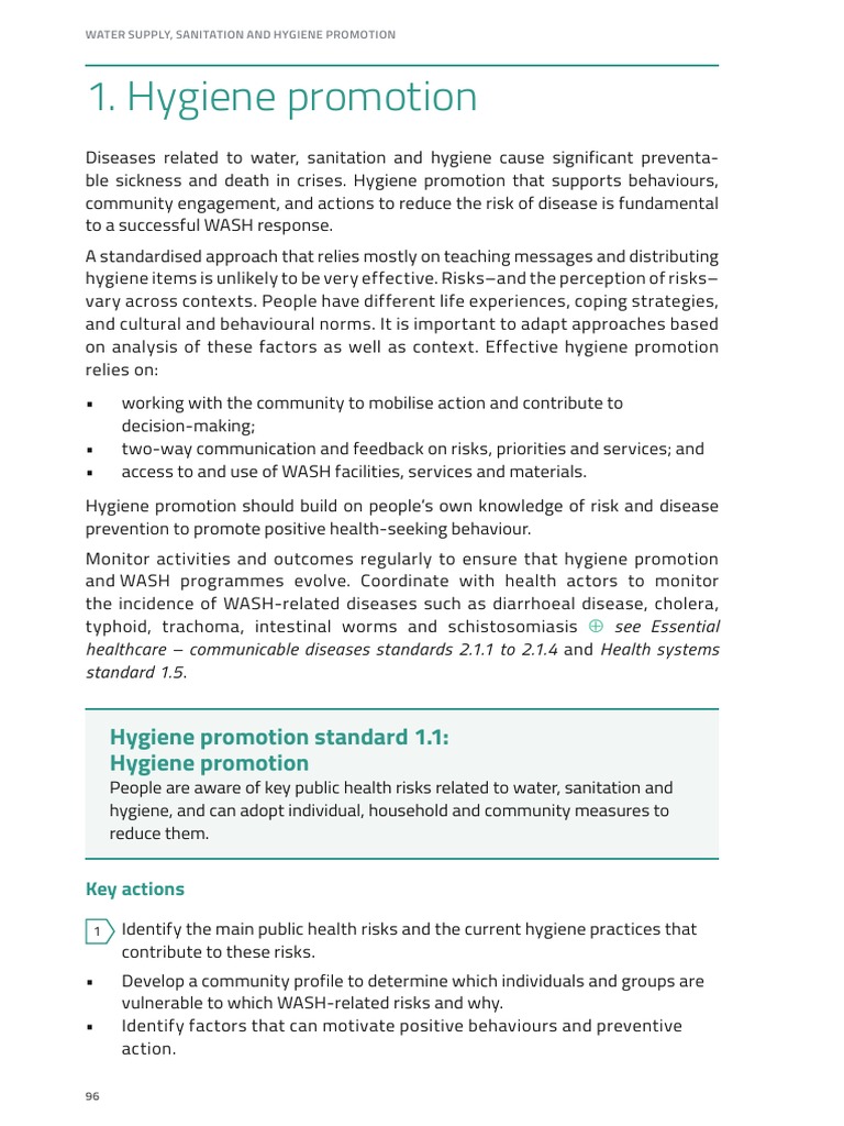 Effective Hygiene Promotion Strategies | PDF