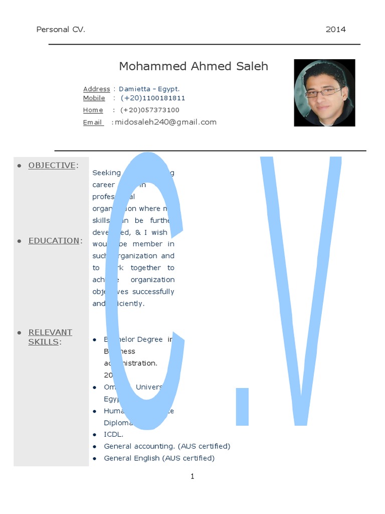Mohamed Saleh's CV | PDF