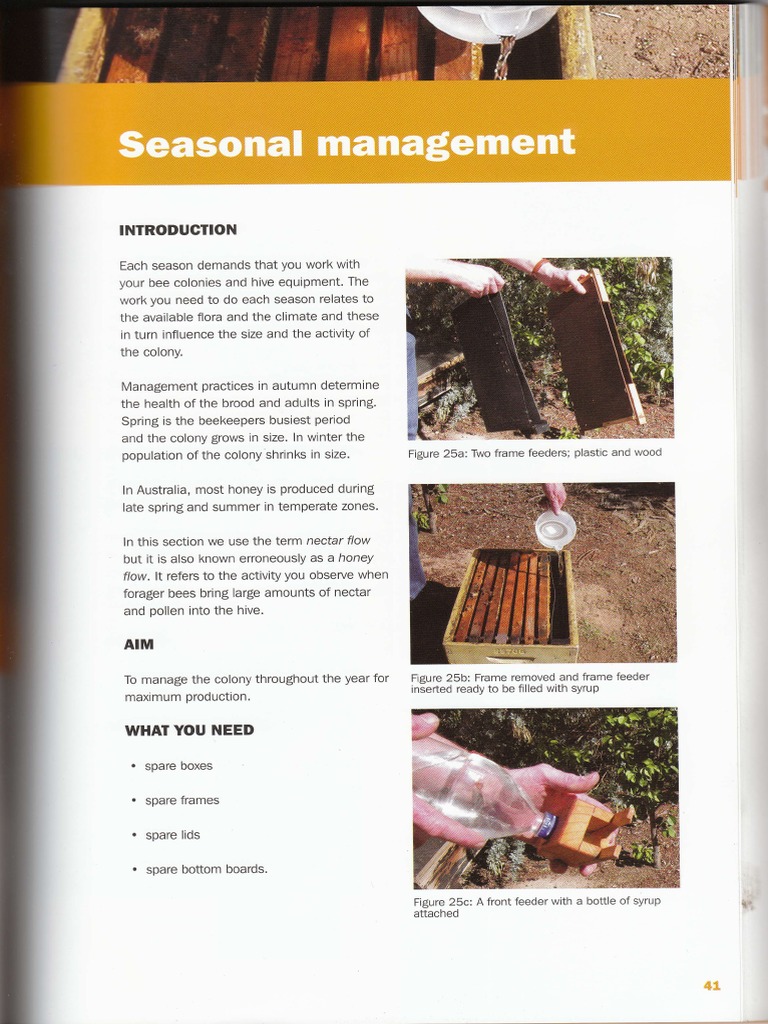 Bee Agskills Nsw Dpi Pdf Beekeeping Beehive
