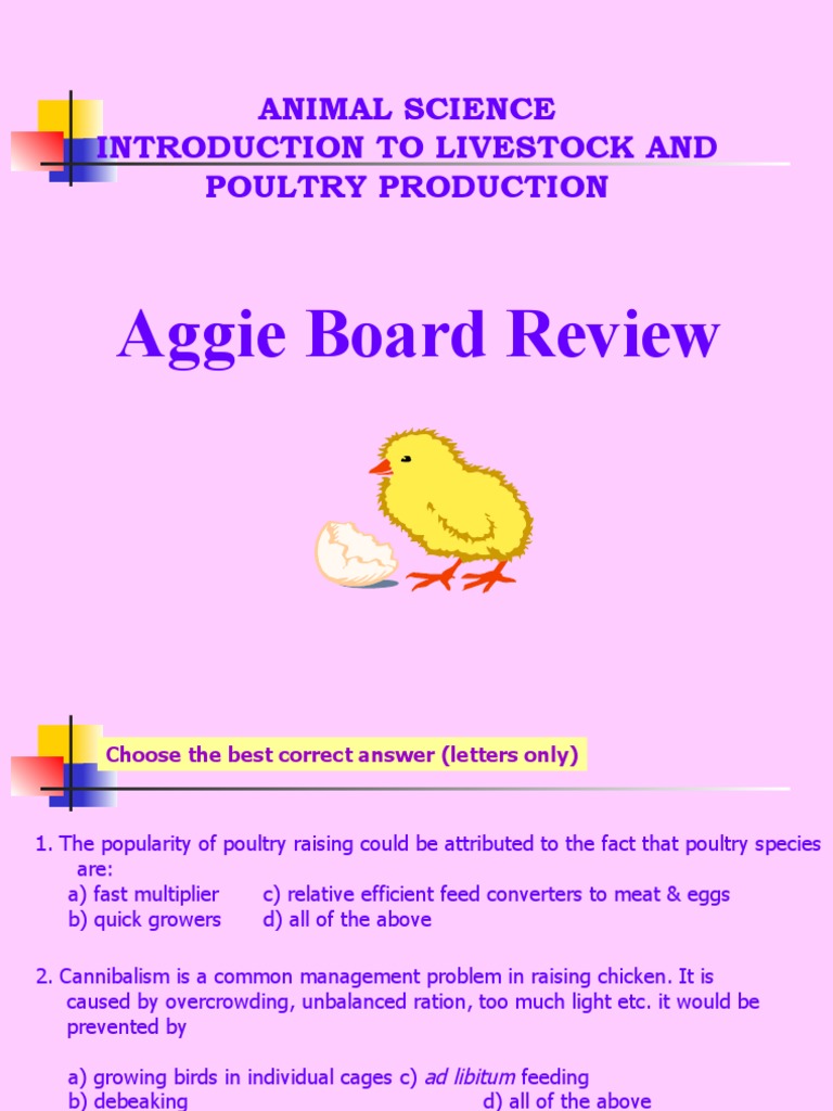 AGGIE Reviewer '06 | PDF | Chicken | Poultry Farming
