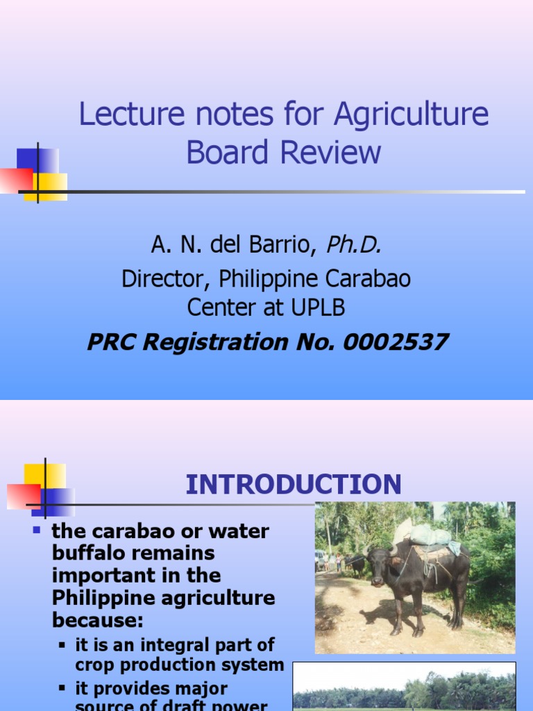 Agriculture Lecture 2 | PDF | Food Energy | Ruminant Agriculture Lecture 2 | PDF | Food Energy | Ruminant