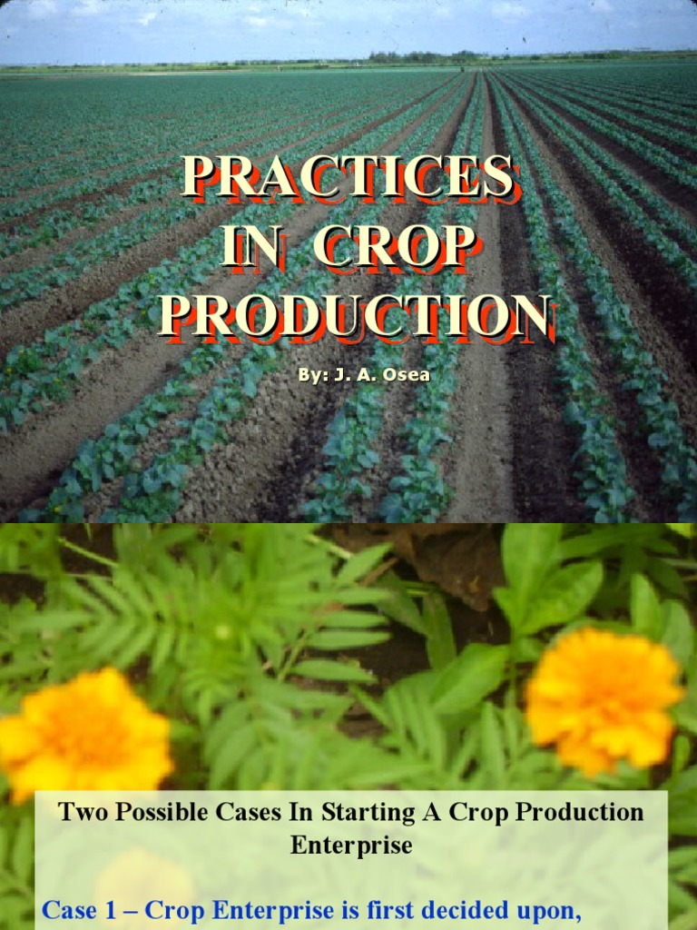 Crop Production Practices Overview | PDF | Science & Mathematics ...