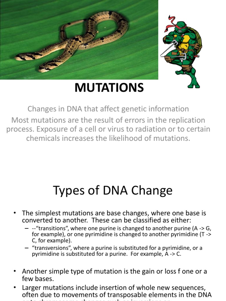 MUTATIONS | Download Free PDF | Genetic Code | Mutation