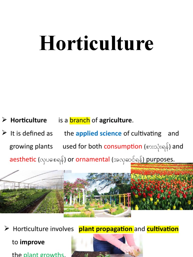 Horticulture | PDF | Horticulture | Agriculture