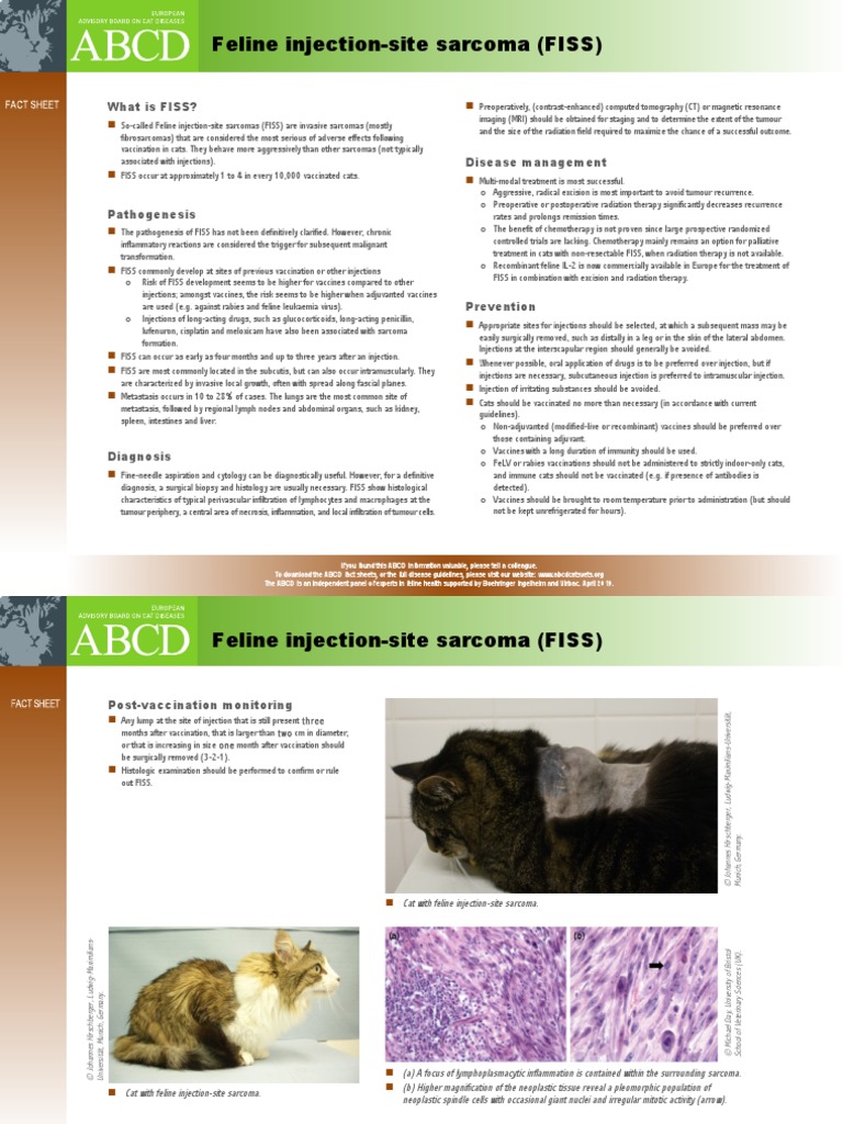 Feline Injection-Site Sarcoma (FISS) | PDF | Sarcoma | Health Sciences