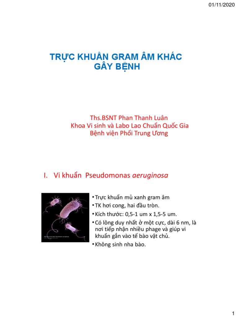 b6 Trực Khuẩn Gram Âm Khác Gây Bệnh | PDF