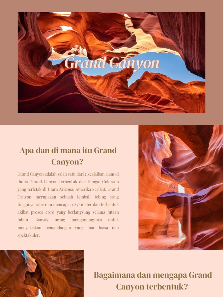 Brown Simple Minimalist Marketing Presentation | PDF