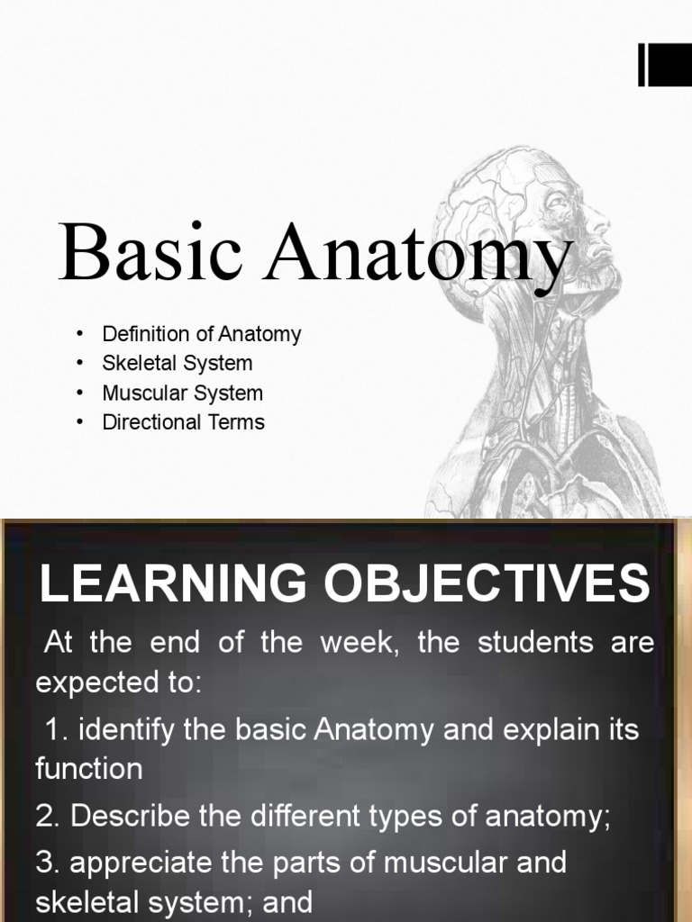 Lesson 2 Basic Anatomy and Biomechanics | PDF Lesson 2 Basic Anatomy and Biomechanics | PDF