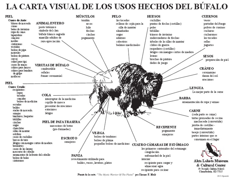 ALM Buffalo Uses Spanish | PDF