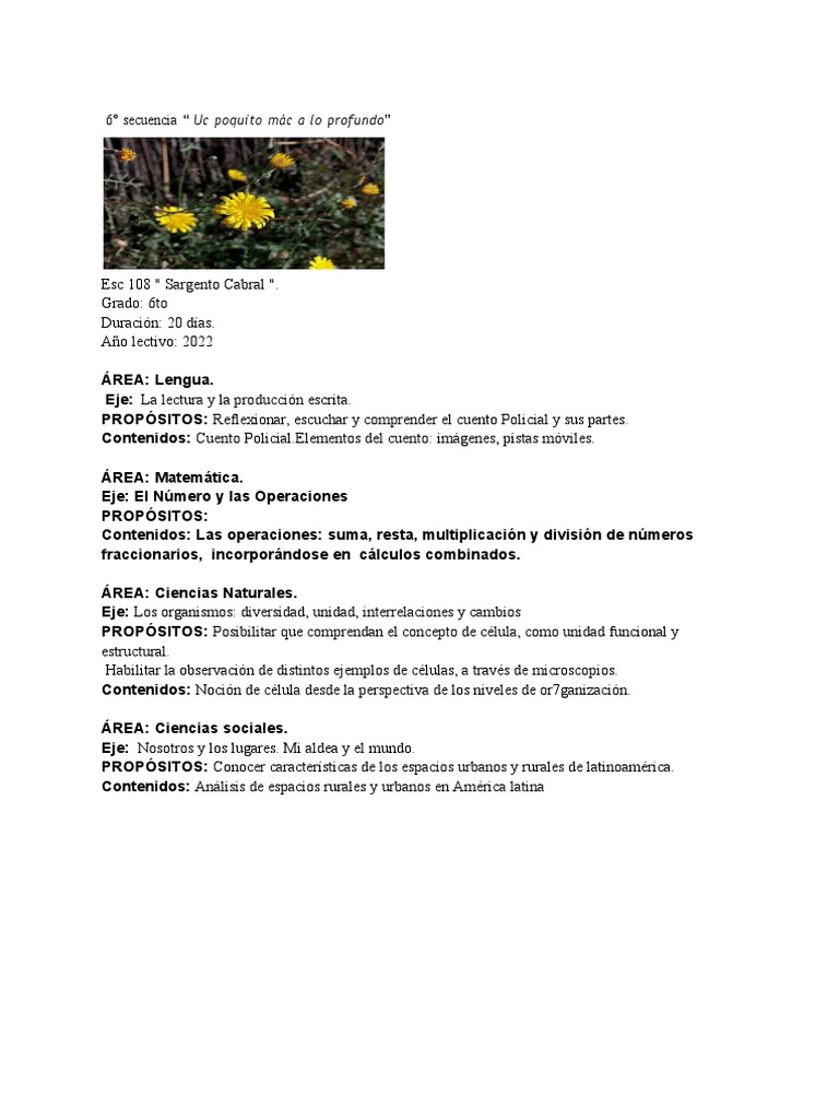 6° Planificación para 6to Grado | PDF | Agricultura | Multiplicación