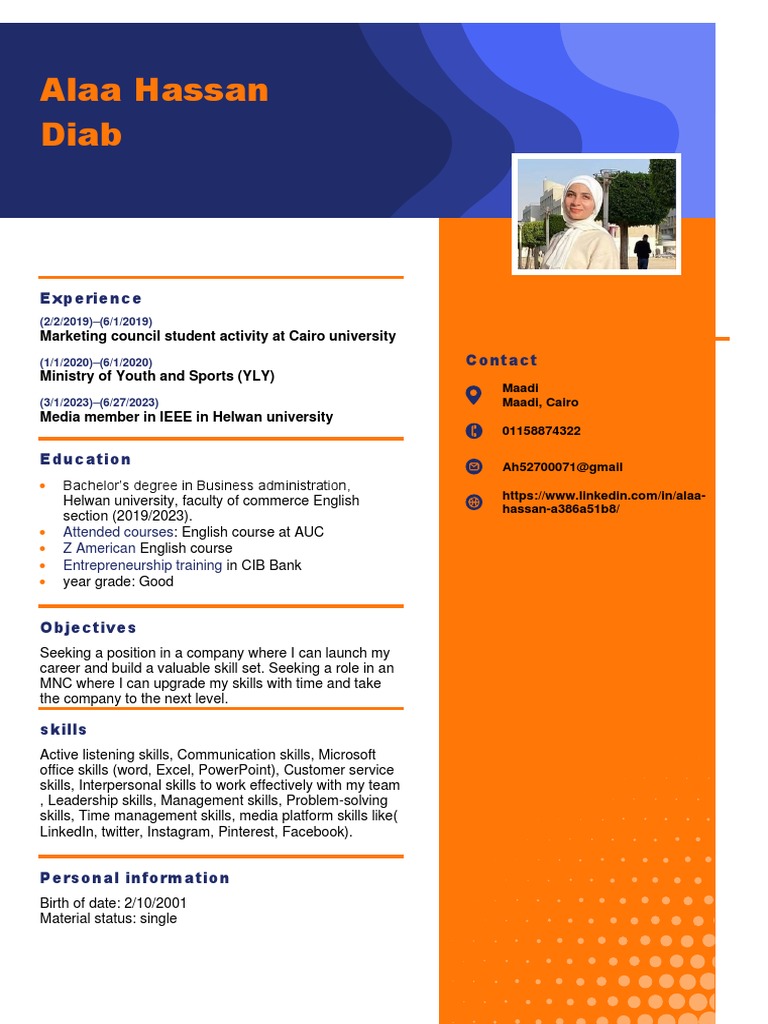 Alaa Hassan Diab Resume Overview | PDF