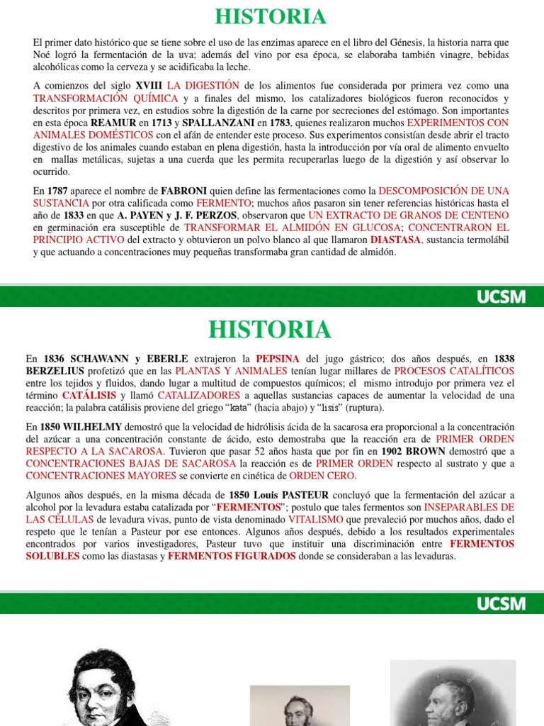 DIAPOSITIVAS HISTORIA DE LAS ENZIMAS | PDF