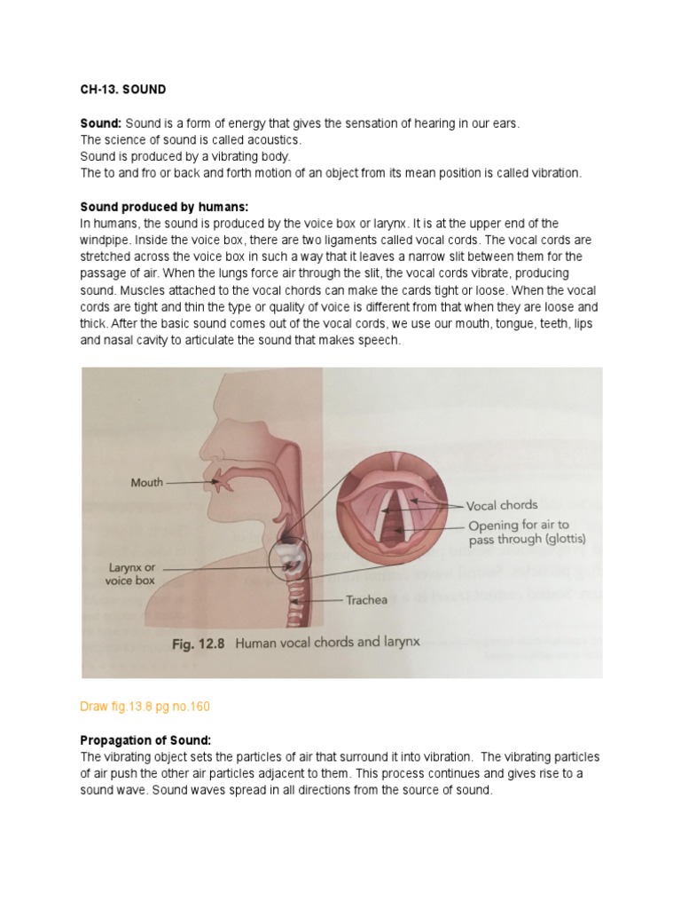 Ch-13. SOUND | PDF | Sound | Ear