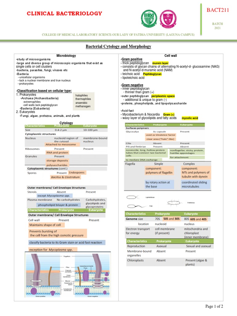 W3 Bacterial Cytology and Morphology | PDF | Bacteria | Cell (Biology)