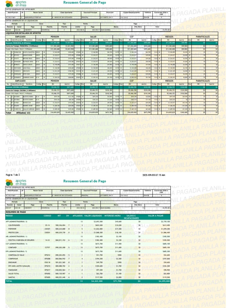 Mafars 025 | PDF | Sector privado | Ingresos