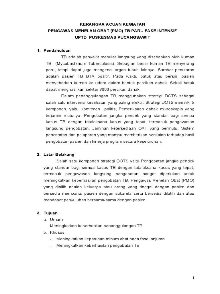 KAK PMO TB Paru Intensif | PDF