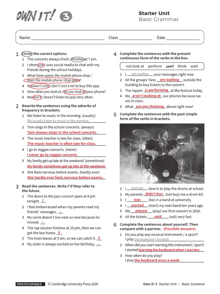 Basic Grammar Starter With Answers | PDF | Linguistics | Grammar