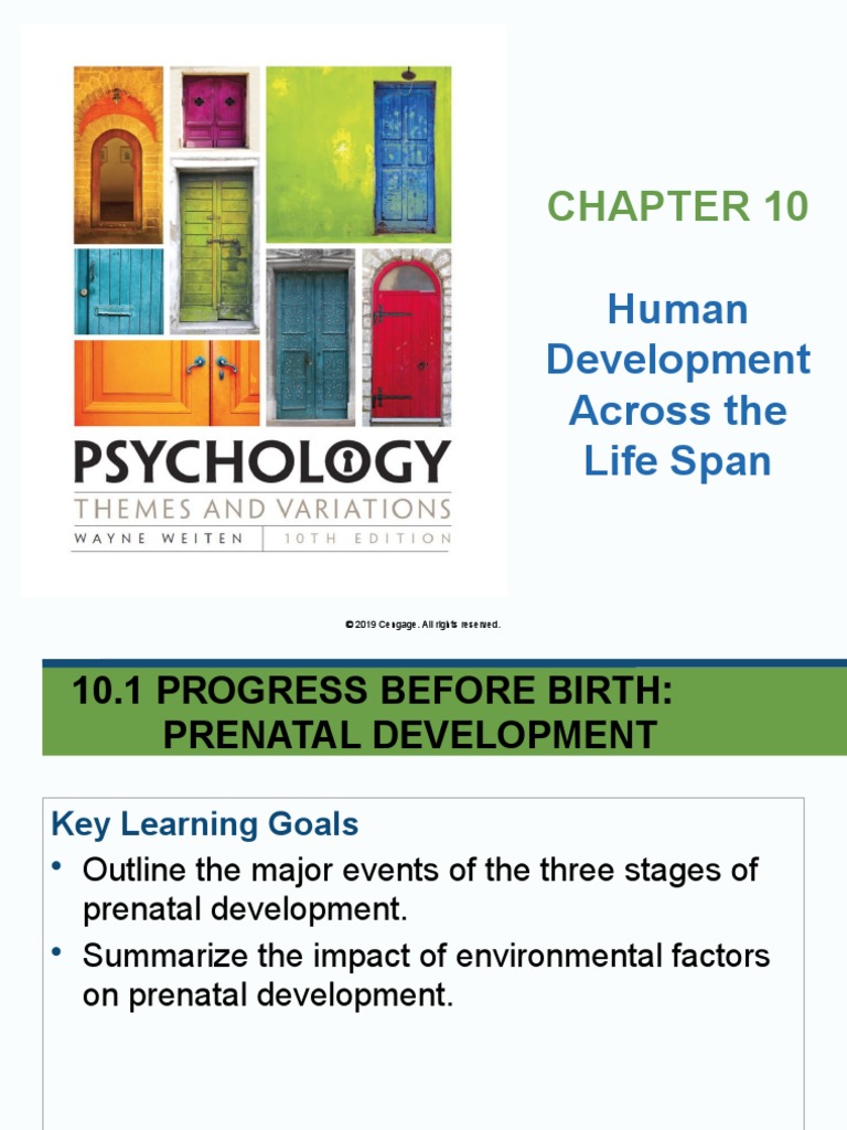 Chapter 10 Human Development | PDF | Attachment Theory | Prenatal ...