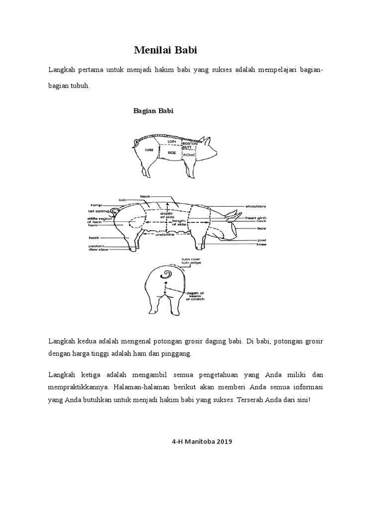 Makala Budidaya Ternak Babi | PDF