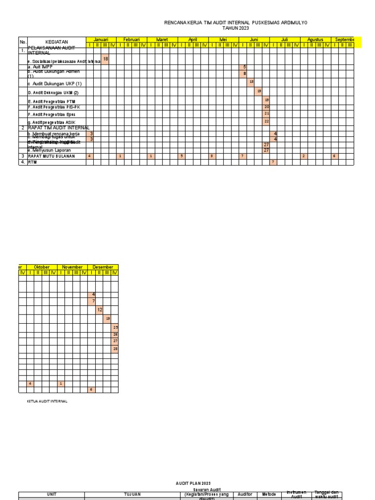 Rencana Kerja Audit Internal Puskesmas 2023 | PDF