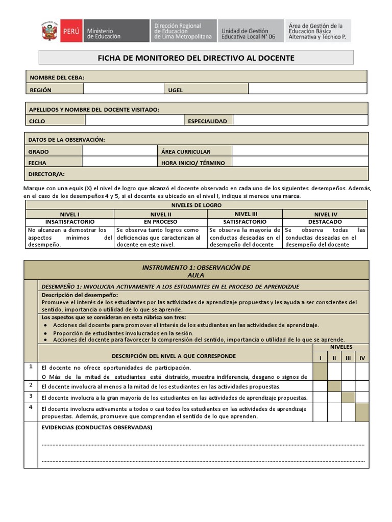 Ficha de Monitoreo MINEDU 2019 - Rubrica para Docente | PDF | Evaluación | Aprendizaje