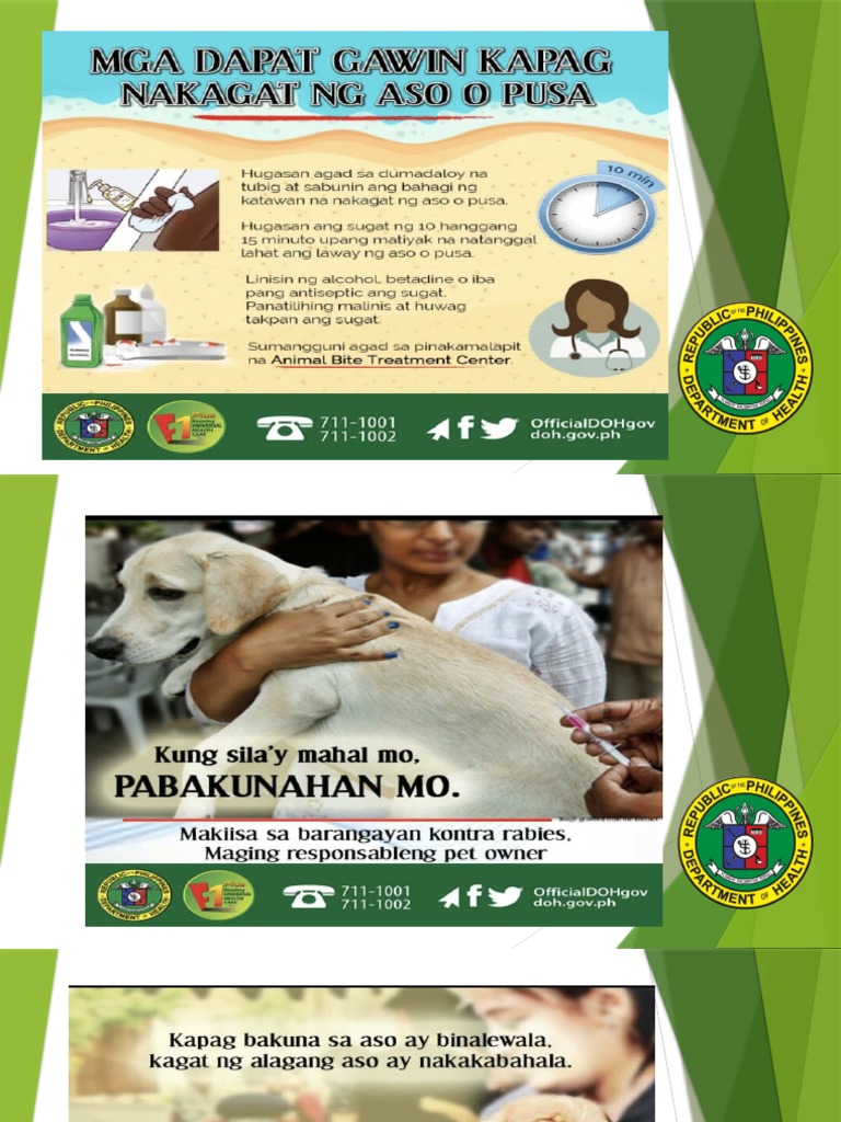 RABIES PPT | PDF