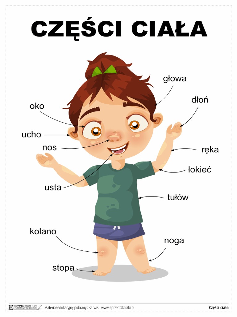 Eprzedszkolaki Czesci Ciala | PDF