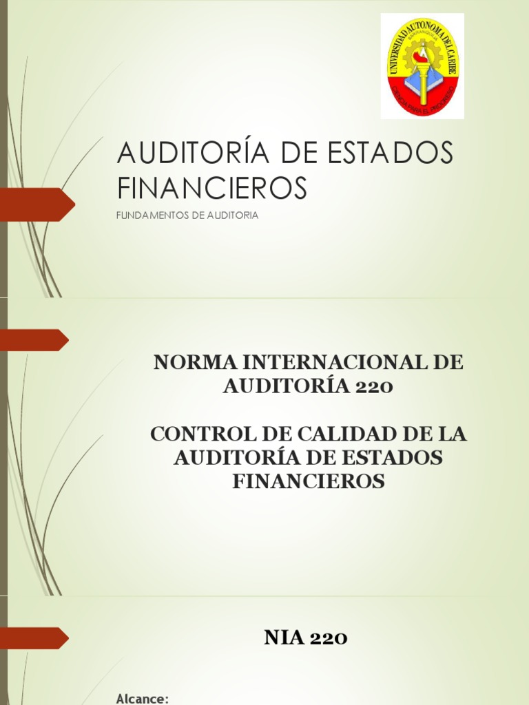Control y Documentación en Auditoría | PDF | Auditoría | Business