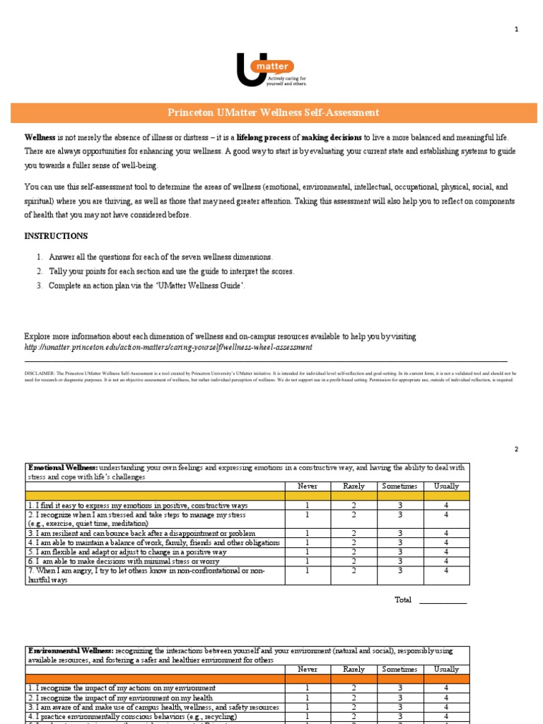 princeton-umatter-wellness-self-assessment | PDF