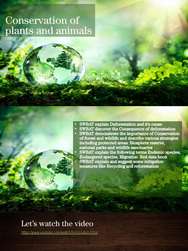 Conservation of Plants and Animals | PDF | Conservation Biology | Endangered Species