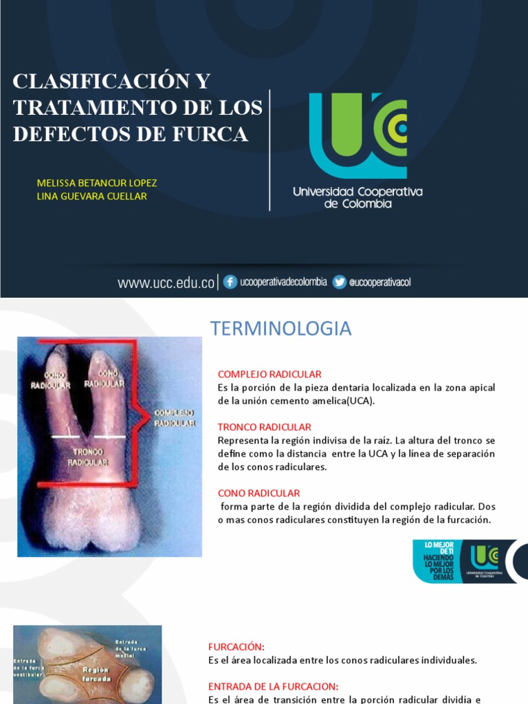 Lesiones de Furca | PDF | Hueso | Raíz