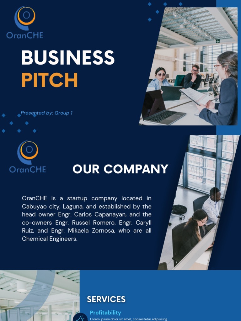 Business Pitch Presentation | PDF