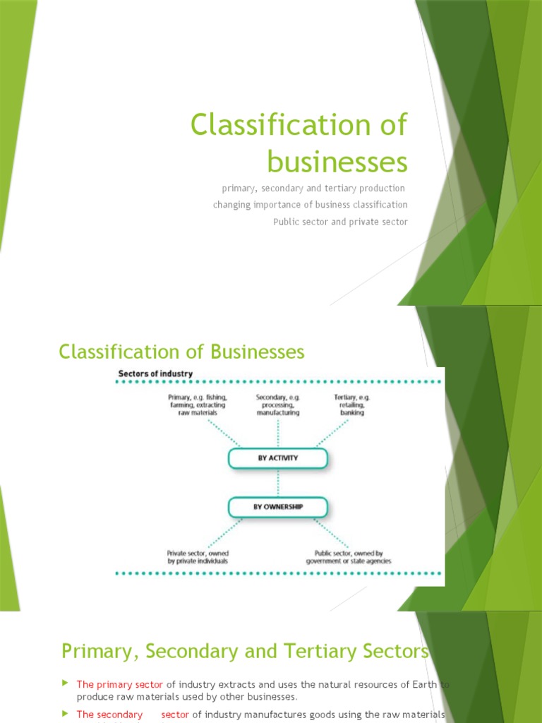 Classification of Businesses | PDF | Tertiary Sector Of The Economy ...