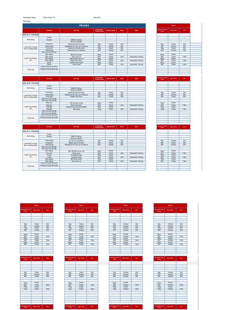 Phan Thanh Tú Phase 3.Xlsx - PHASE 3 | PDF