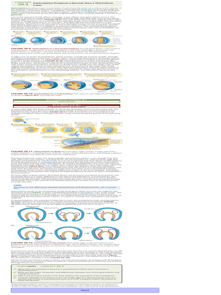Hillis2e ch38 | PDF | Biological Processes | Change