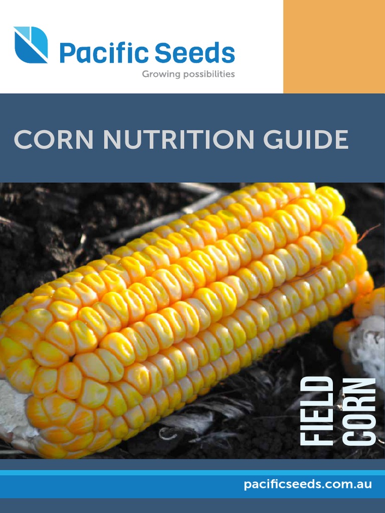 Corn Nutrition Guide | PDF | Plant Nutrition | Fertilizer
