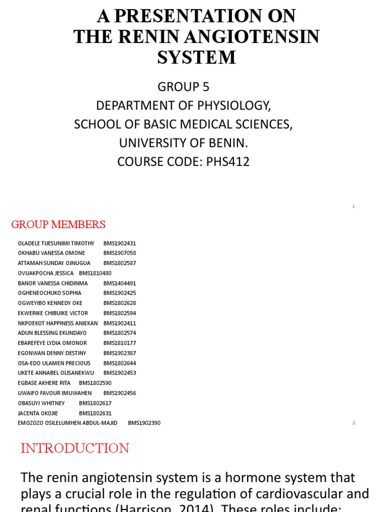 Renin Angiotensin System | PDF | Angiotensin | Physiology