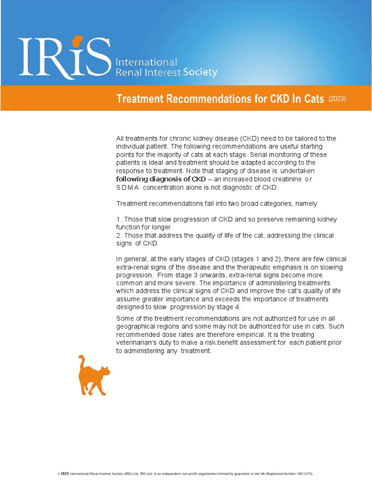 IRIS CAT Treatment Recommendations 2023 | PDF | Chronic Kidney Disease ...