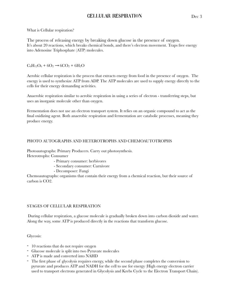 Celullar Respiration Notes Grade 12 | PDF | Cellular Respiration ...