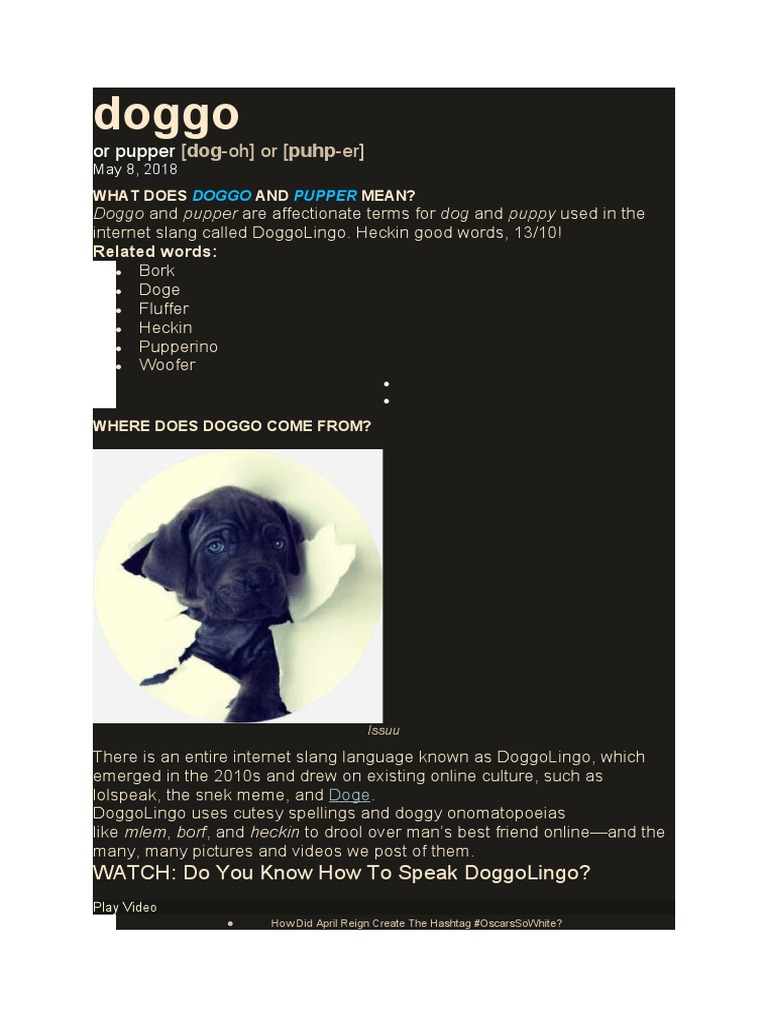 Doggo | PDF | Human Communication | Lexicology