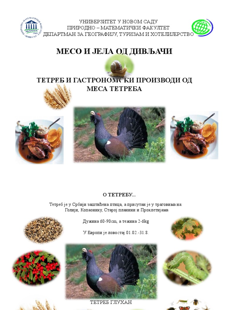 Meso-i-jela-od-divljači-18.ТЕТРЕБ-i-Meni-od-Tetreba | PDF