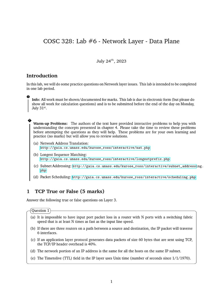 Cosc 328 Lab 6 | PDF | Internet Protocols | Data Transmission