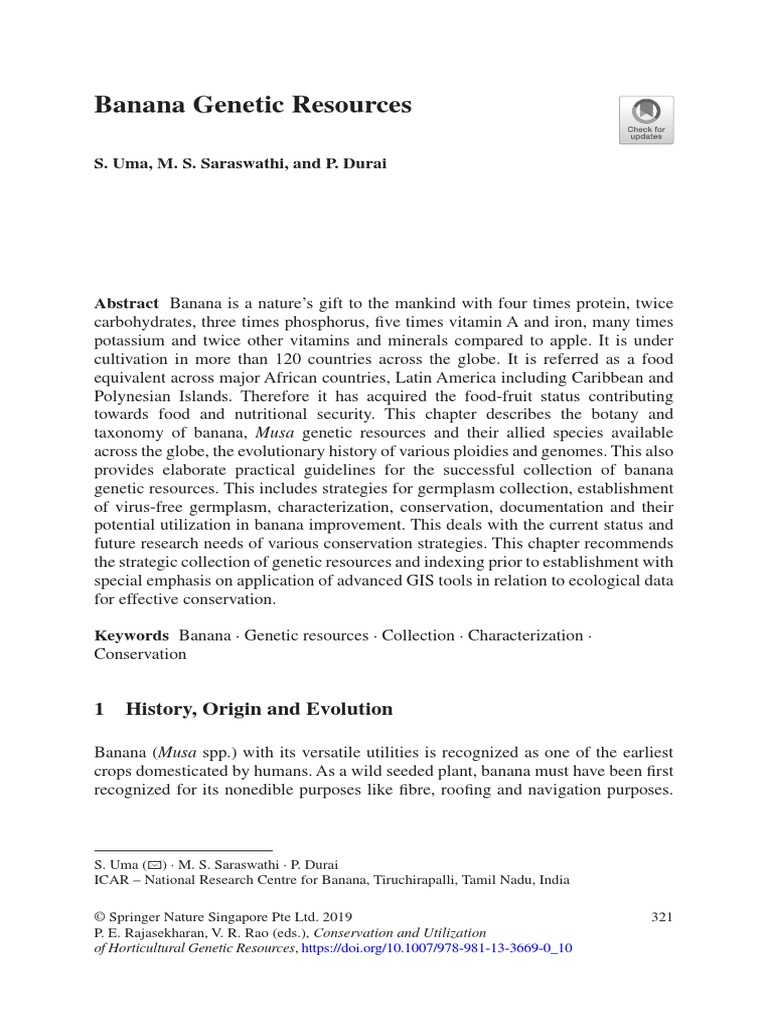 Banana Resources | PDF | Banana | Plants