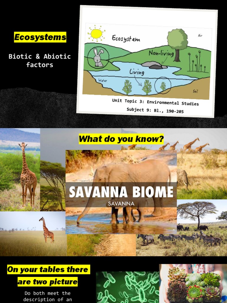 Ecosystems Biotic and Abiotic Factors GR 10 | PDF