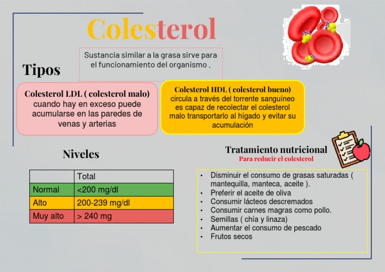 Infografia Colesterol | PDF